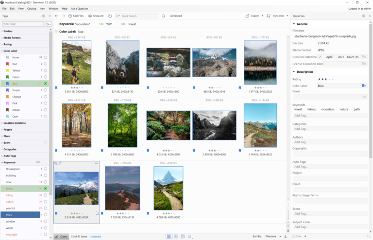Adobe Bridge vs Digital asset management solution | Comparison table of ...