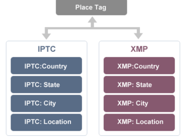Top 5 ways to view and edit metadata | Daminion Blog