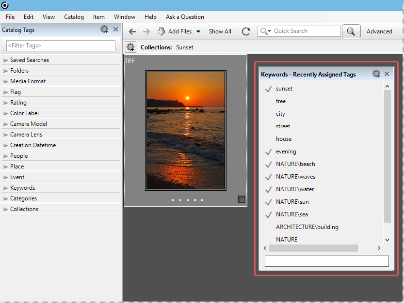 Installing Daminion Standalone (Client) | Daminion — an Effective ...