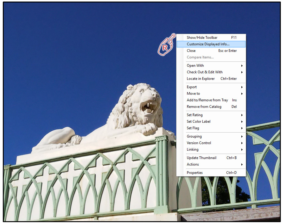 Installing Daminion Server | Daminion — an Effective Digital Asset ...