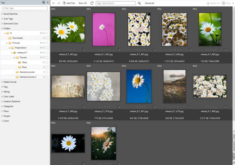 Main components of the Daminion workspace | Daminion | On-Premise ...
