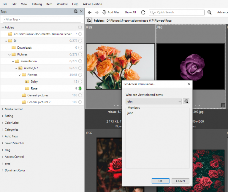Main components of the Daminion workspace | Daminion | On-Premise ...